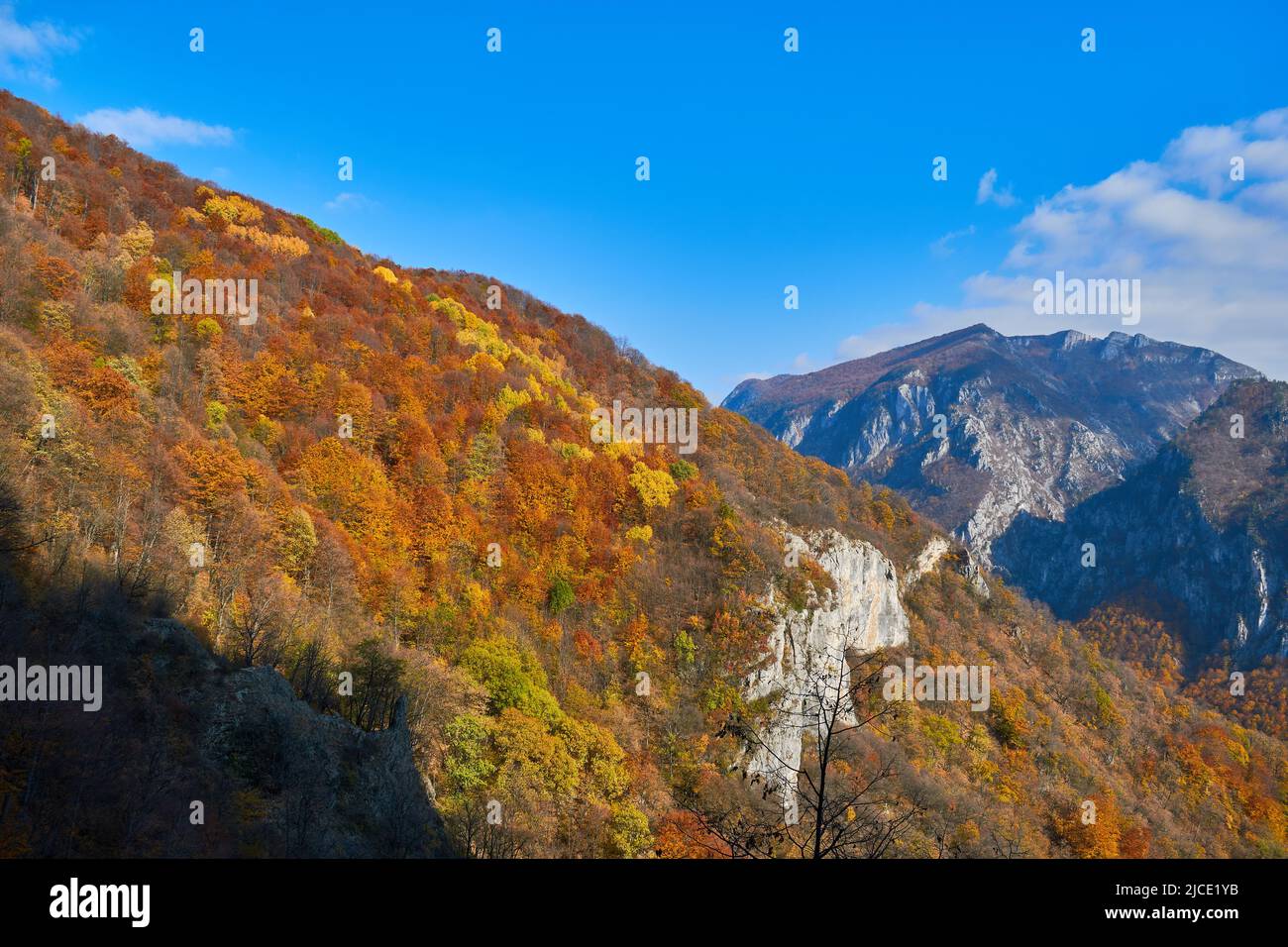 Domogled cerna hi-res stock photography and images - Alamy