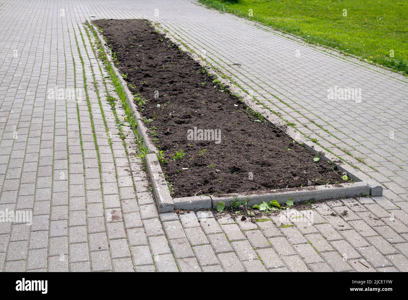 Land on a city flower bed prepared for planting flowers in Moscow ...