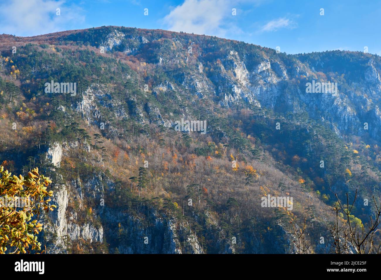 Domogled cerna hi-res stock photography and images - Alamy