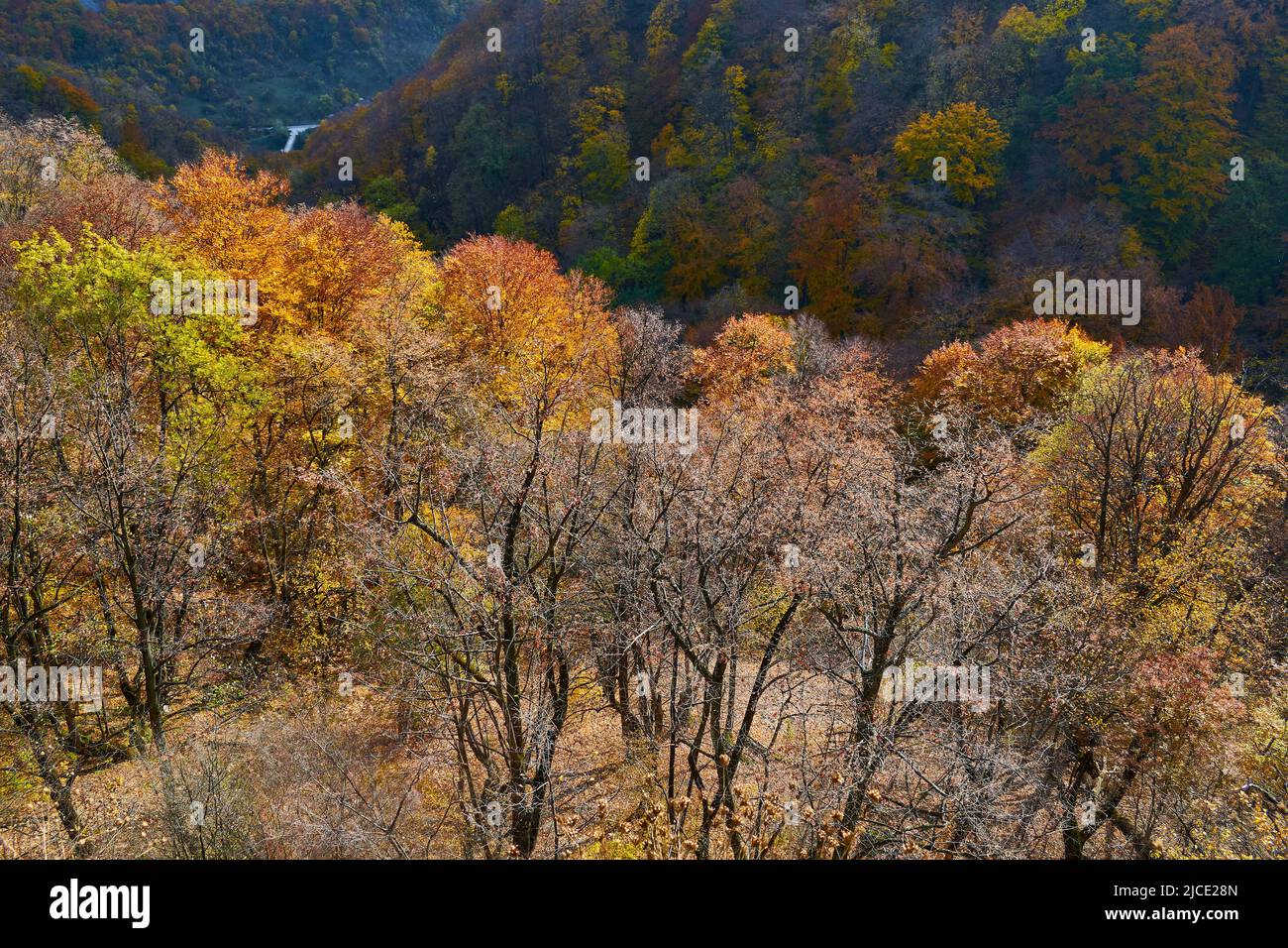 Cerna valley romania hi-res stock photography and images - Alamy