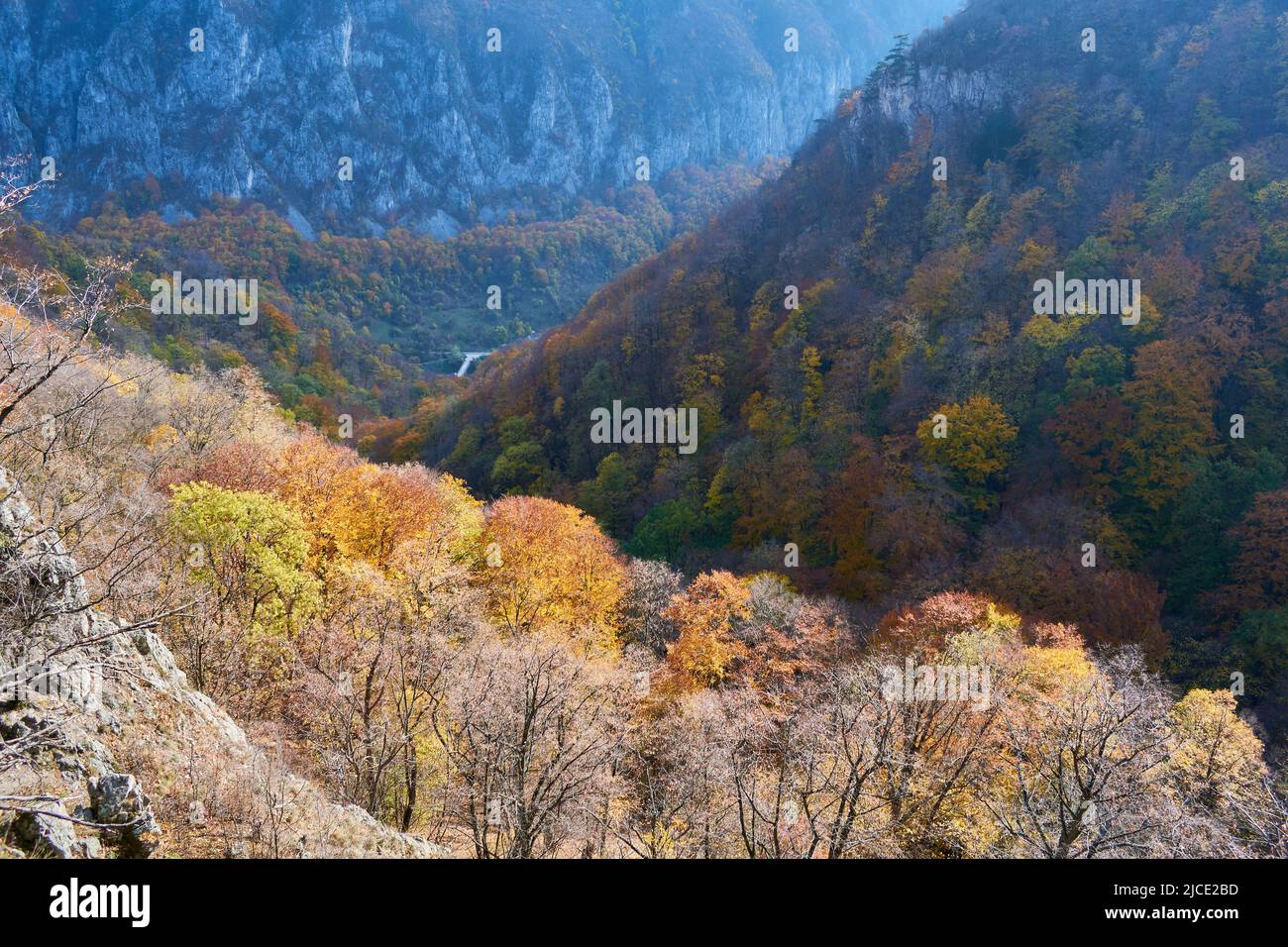 Domogled cerna hi-res stock photography and images - Alamy