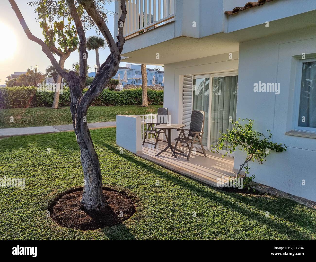 backyard with a tree, house with terrace Stock Photo - Alamy