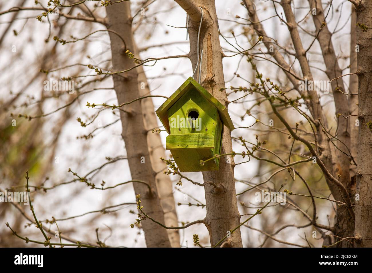 Birdwatching house hi-res stock photography and images - Alamy
