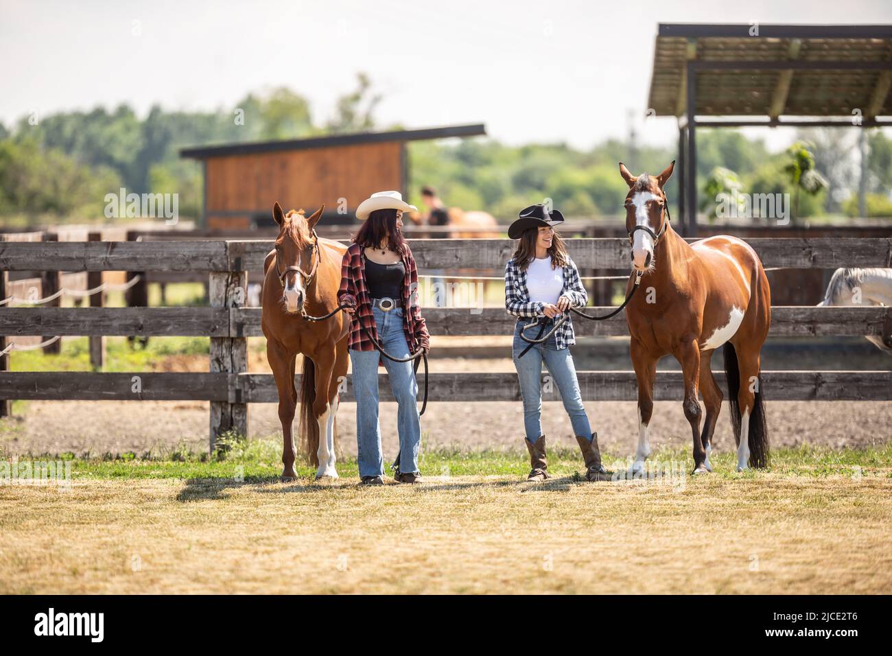 Two young cowgirls walk their paint horses on a ranch in the summer ...