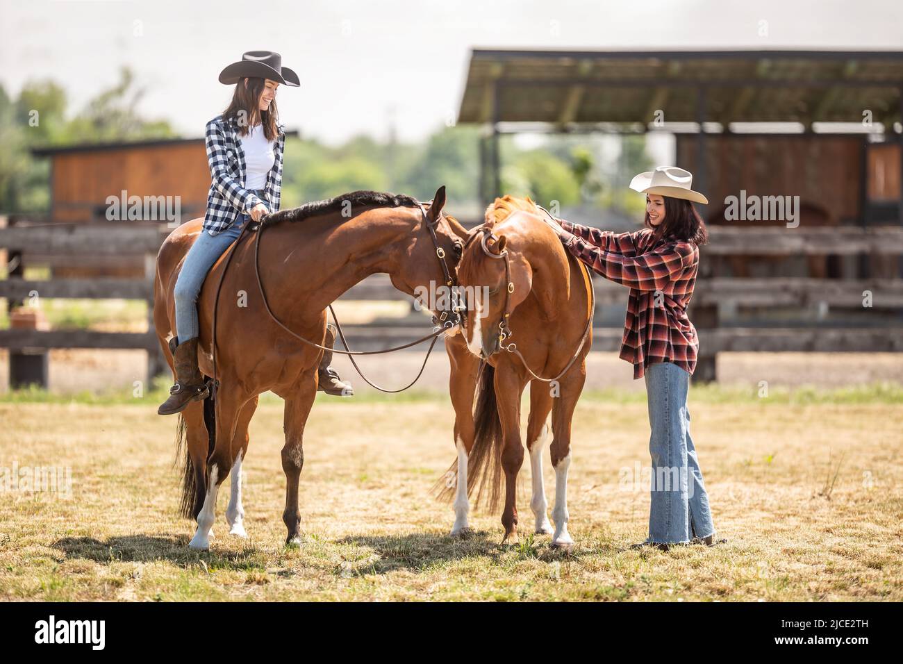 Two female friends on a ranch are getting ready for a horse ride Stock ...