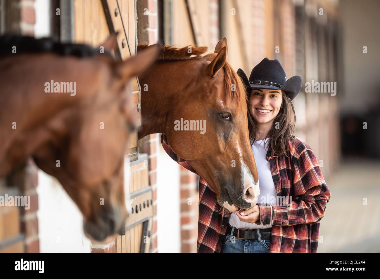 Good-looking girl in cowgirl hat stands next to horses inside the ...
