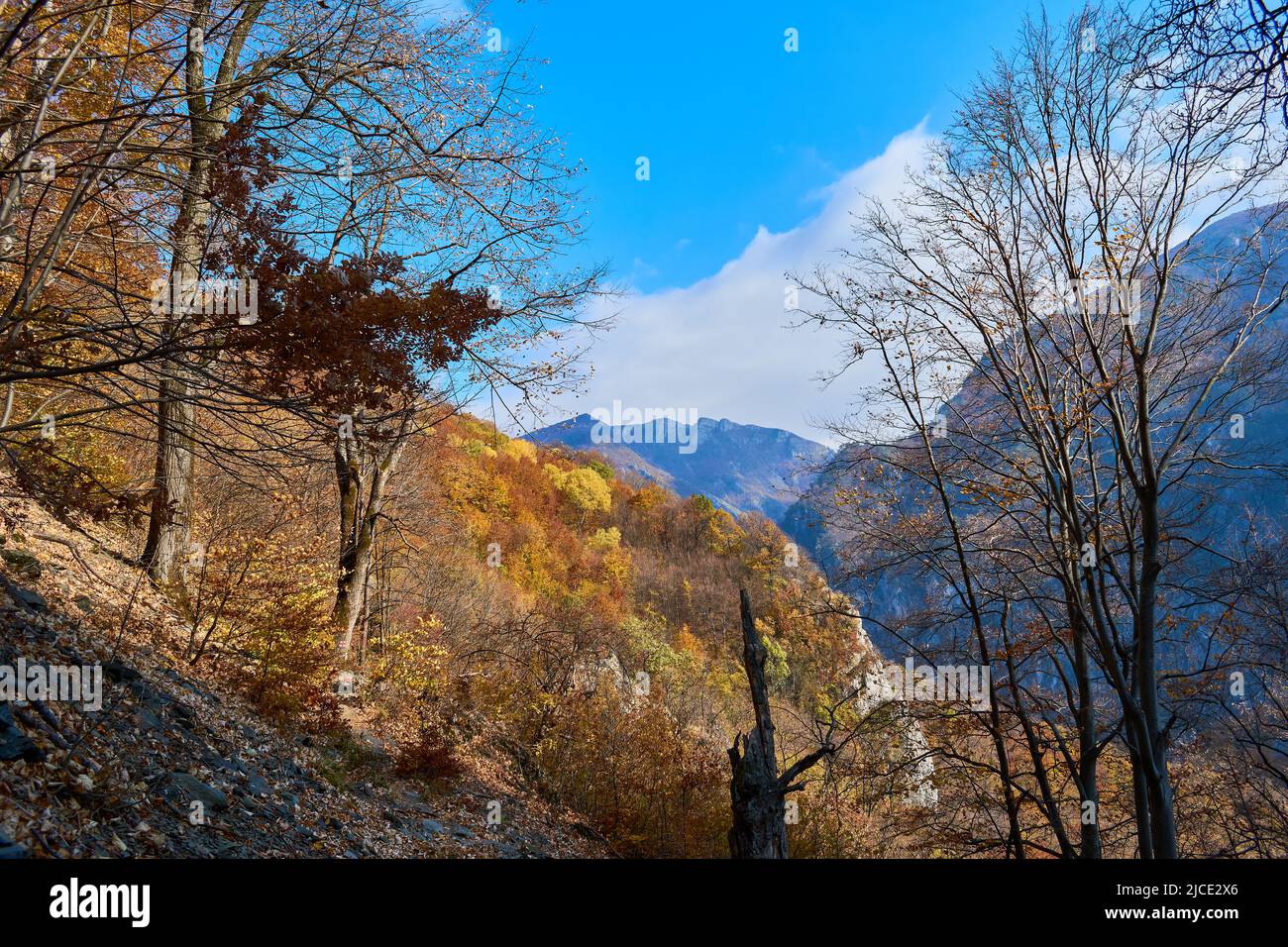 Cernei mountains hi-res stock photography and images - Alamy