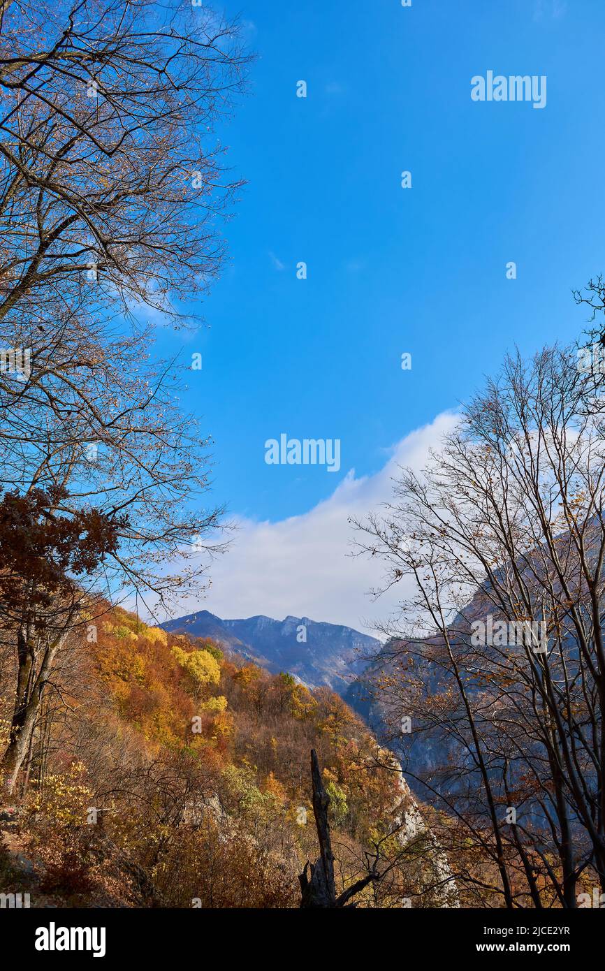 Domogled cerna hi-res stock photography and images - Alamy