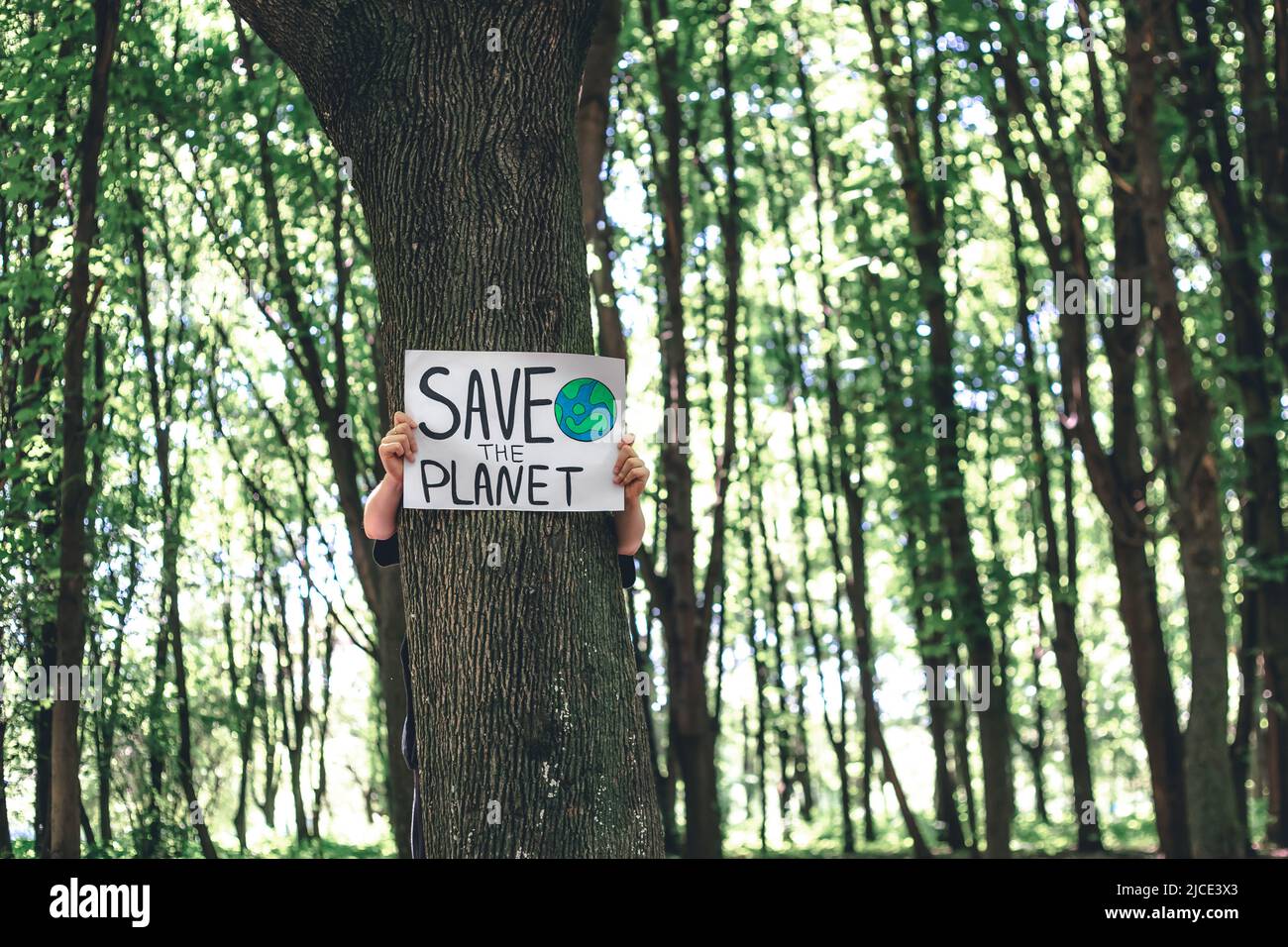 Poster in the call to save the planet in female hands in the forest ... Poster in the call to save the planet in female hands in the forest ...