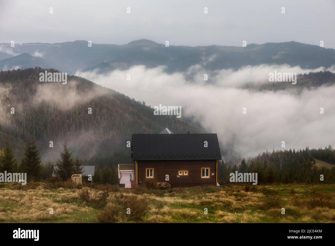 Rural mountain hut in the forest after rain in fog of the Carpathians ...