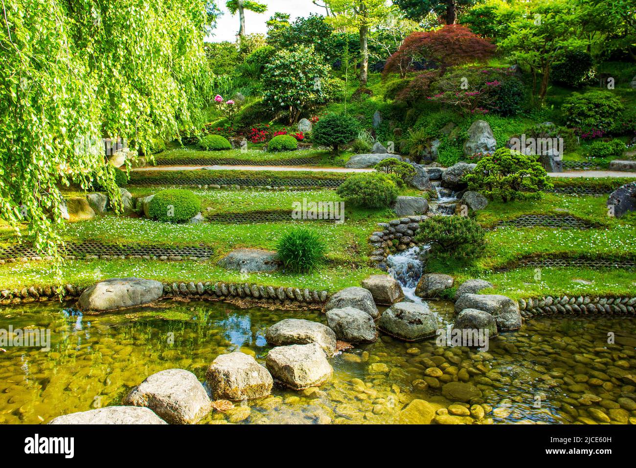 Stream and another small stream with waterfalls and azalea bush ...