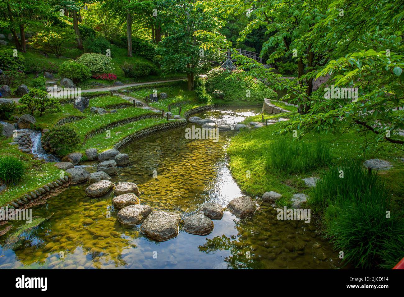 High angle View of fast stream flowing into a larger stream and azalea ...