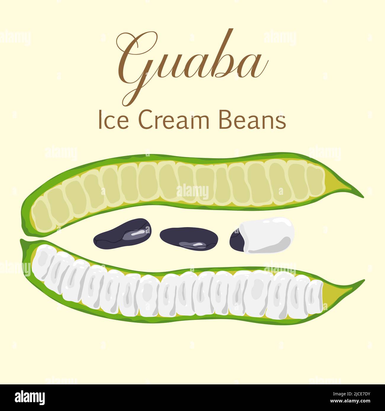 Ice cream with seeds Stock Vector Images - Alamy