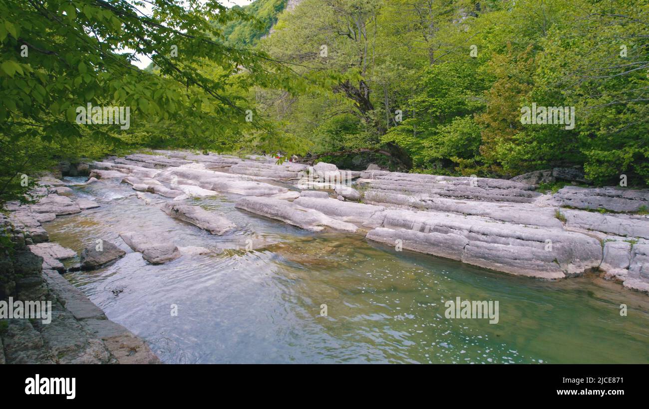 beautiful fresh river surrounded by the forest. High quality photo ...