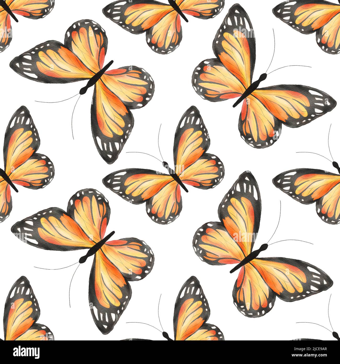Seamless pattern watercolor hand drawn butterfly isolated on white ...