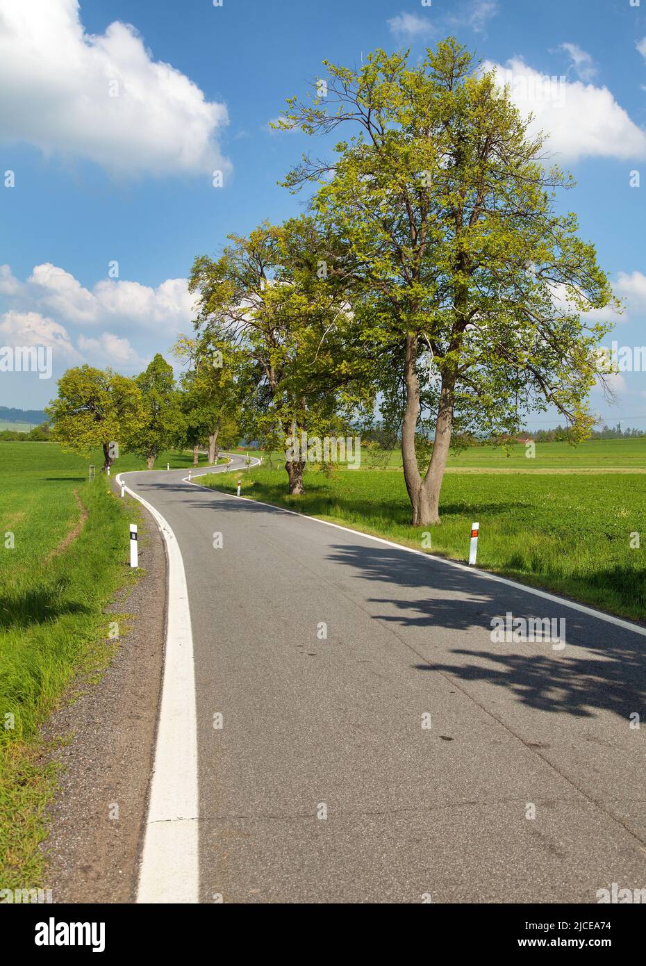 spring time or springy alley and road, beautiful springtime view Stock ...