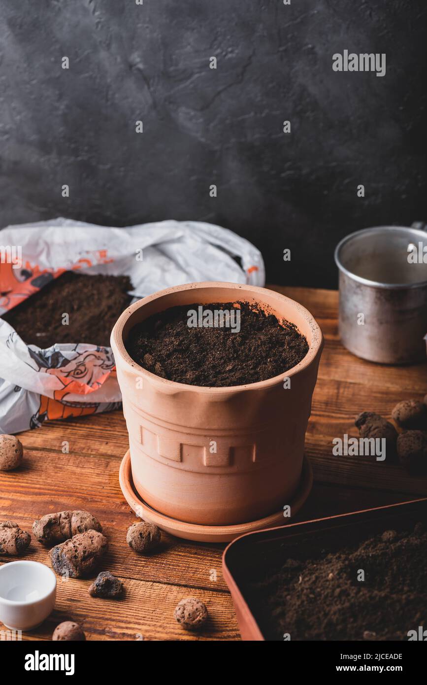 Terracotta Pot Filled with Soil and Sowed Thyme Seeds Stock Photo - Alamy