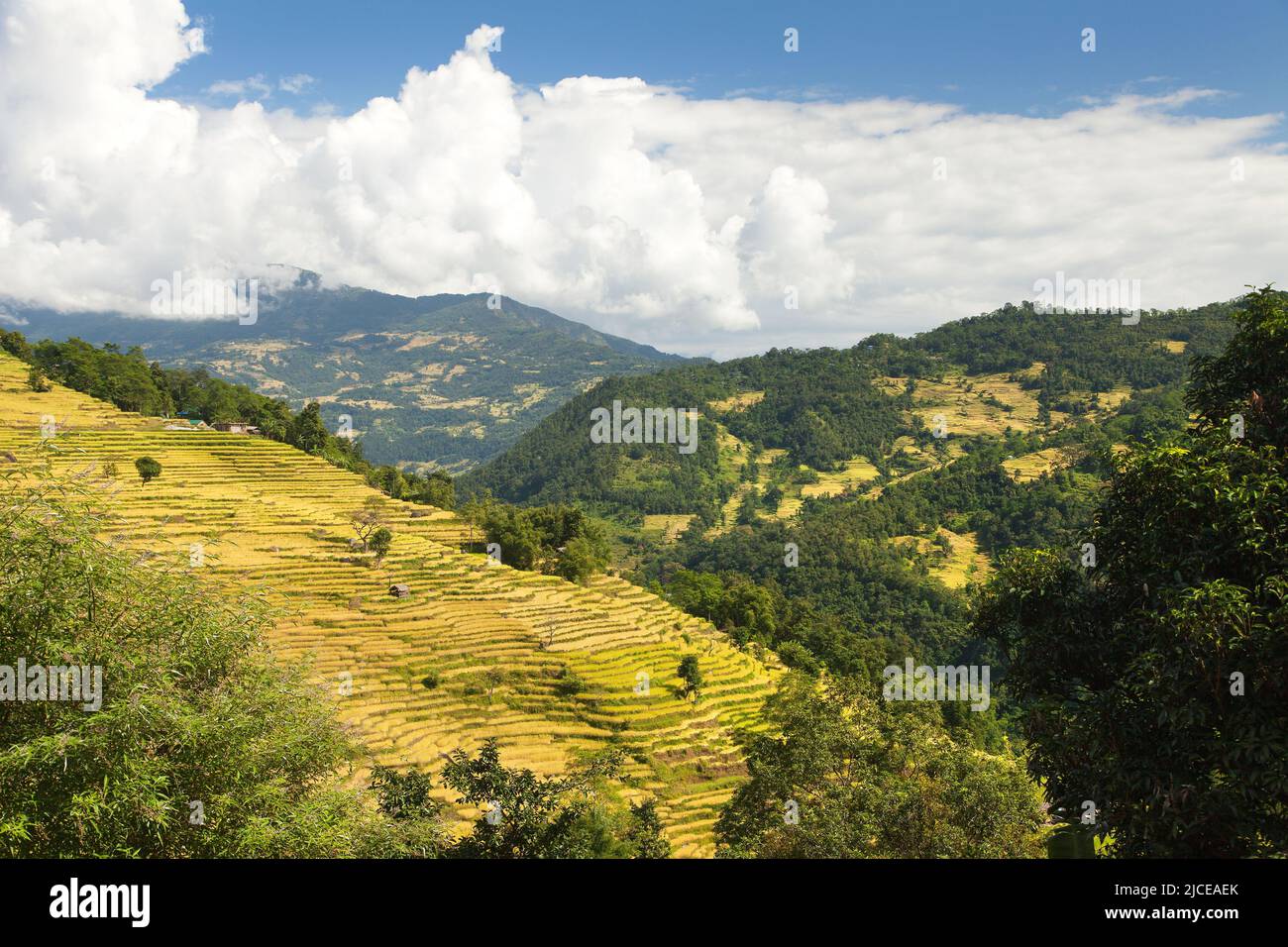 Agricultural paddy fields hi-res stock photography and images - Alamy