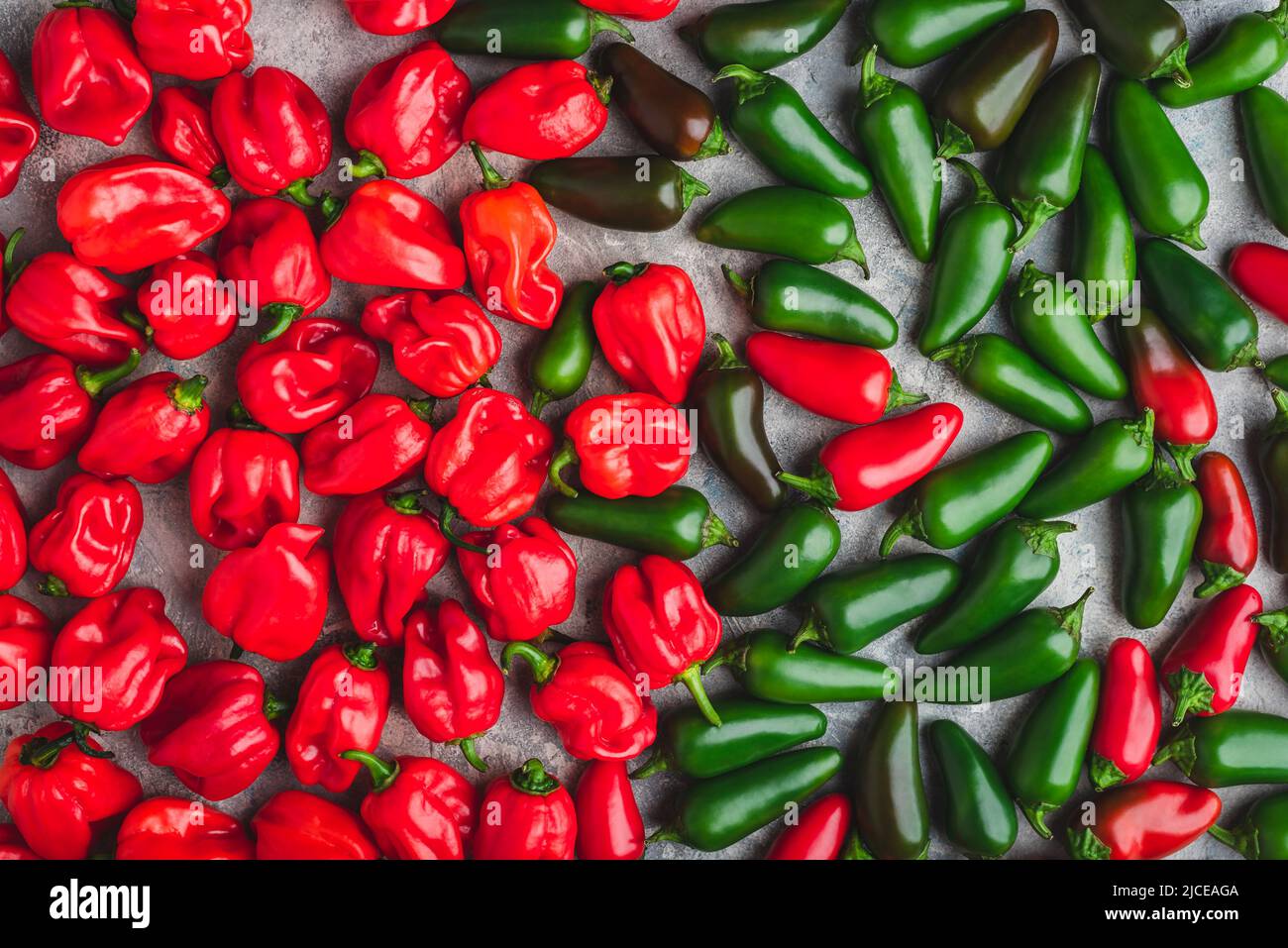 Sorted Hot Jalapeno and Habanero Peppers on Concrete Background. View ...