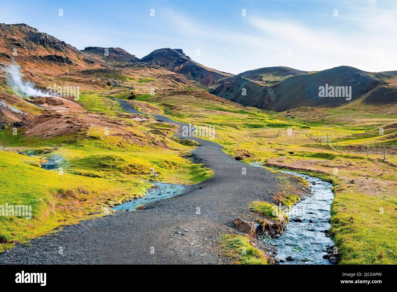 Pathway stream amidst green hi-res stock photography and images - Alamy