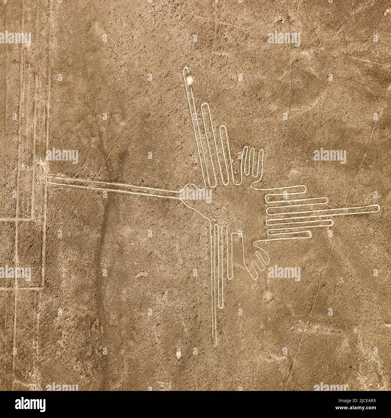 Hummingbird geoglyph sepia colored, Nazca mysterious lines and ...