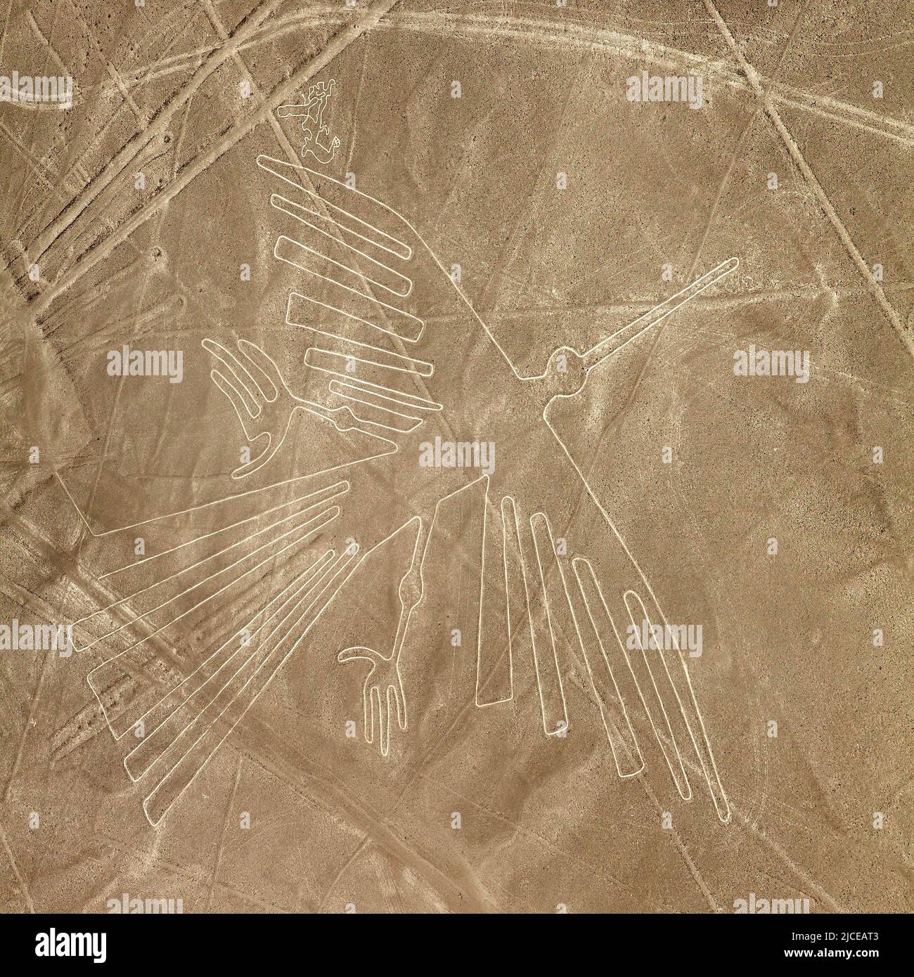 Condor geoglyph, Nazca or Nasca mysterious lines and geoglyphs aerial ...