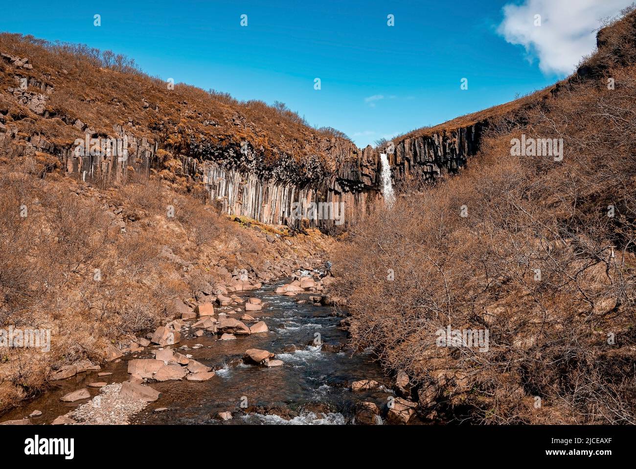 Idyllic Svartifoss waterfall amidst basalt columns and stream against ...