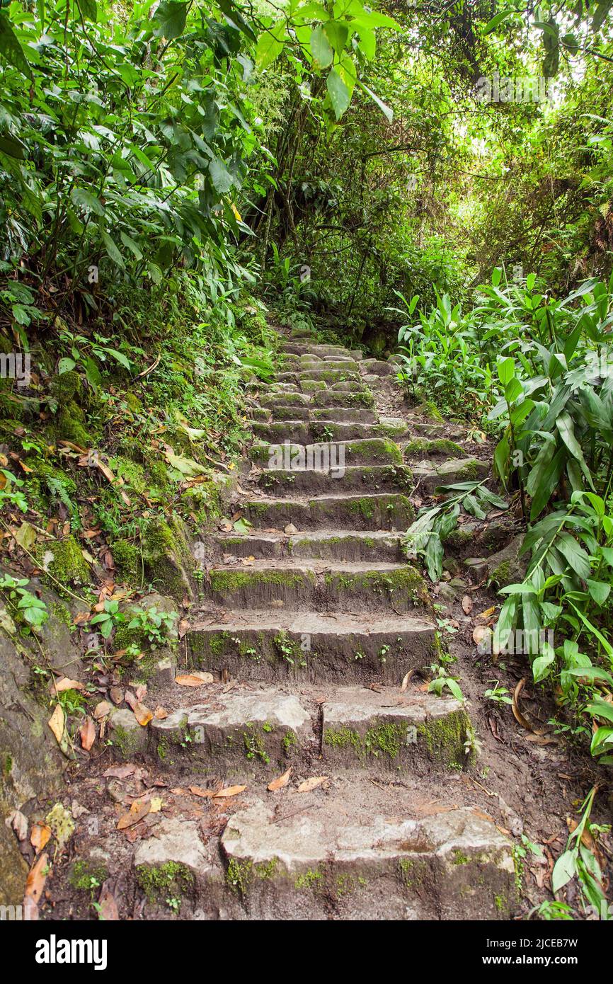 Machu Picchu, pathway to peruvian incan town, unesco world heritage ...