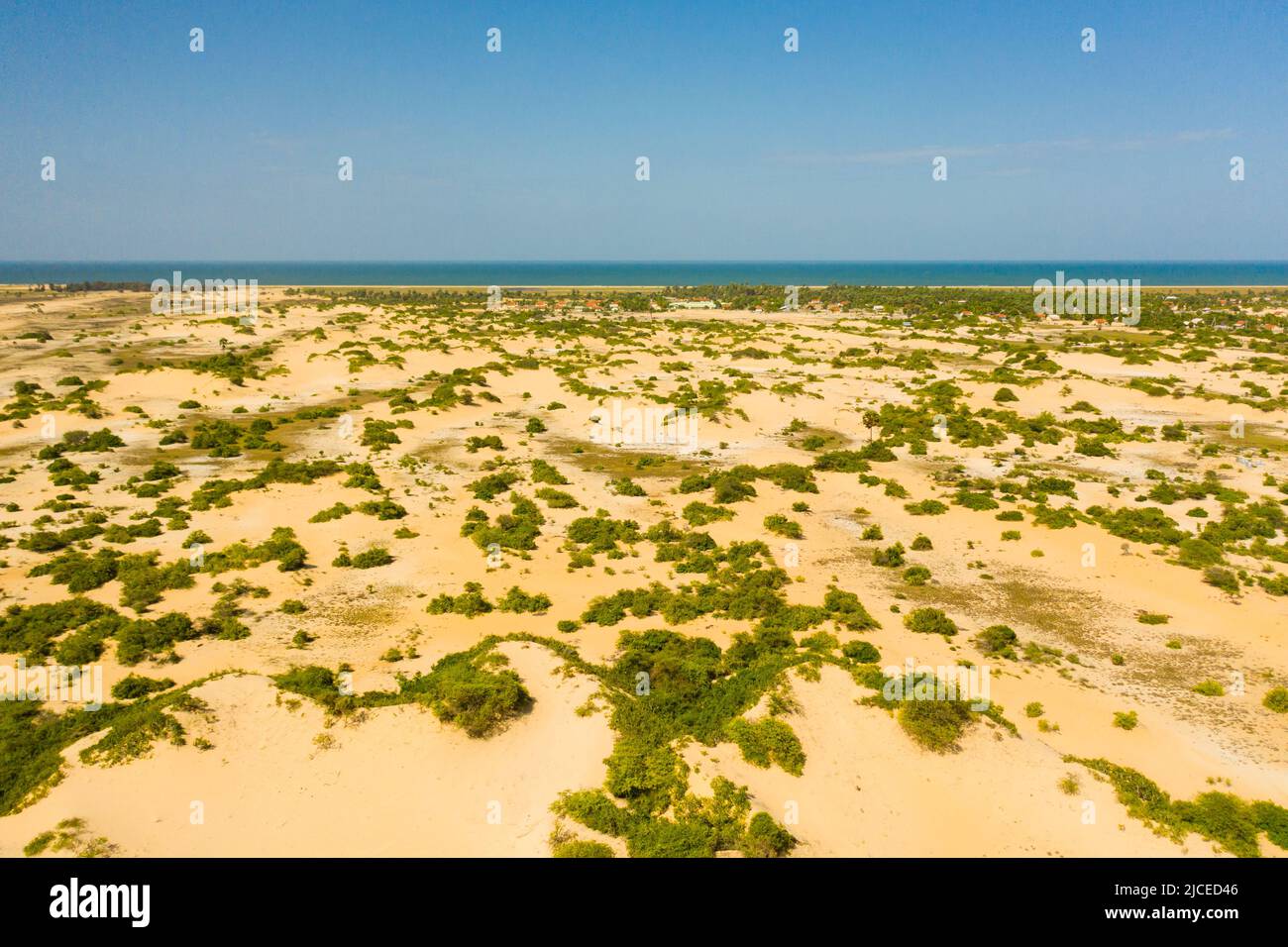 Desert landscape with vegetation and bushes. Manalkaadu Sand Hills. Sri ...