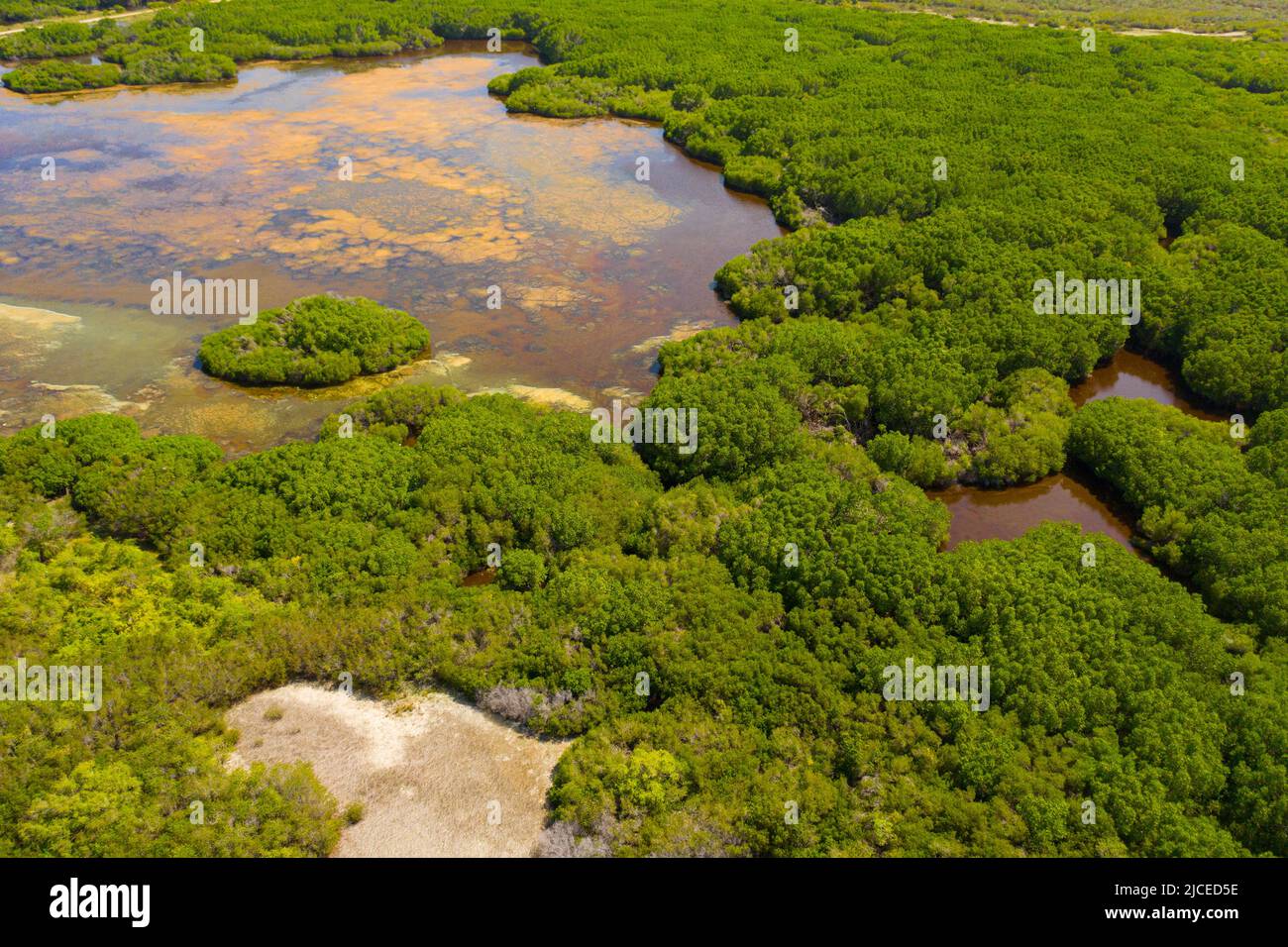 Beautiful lake in middle jungle hi-res stock photography and images - Alamy