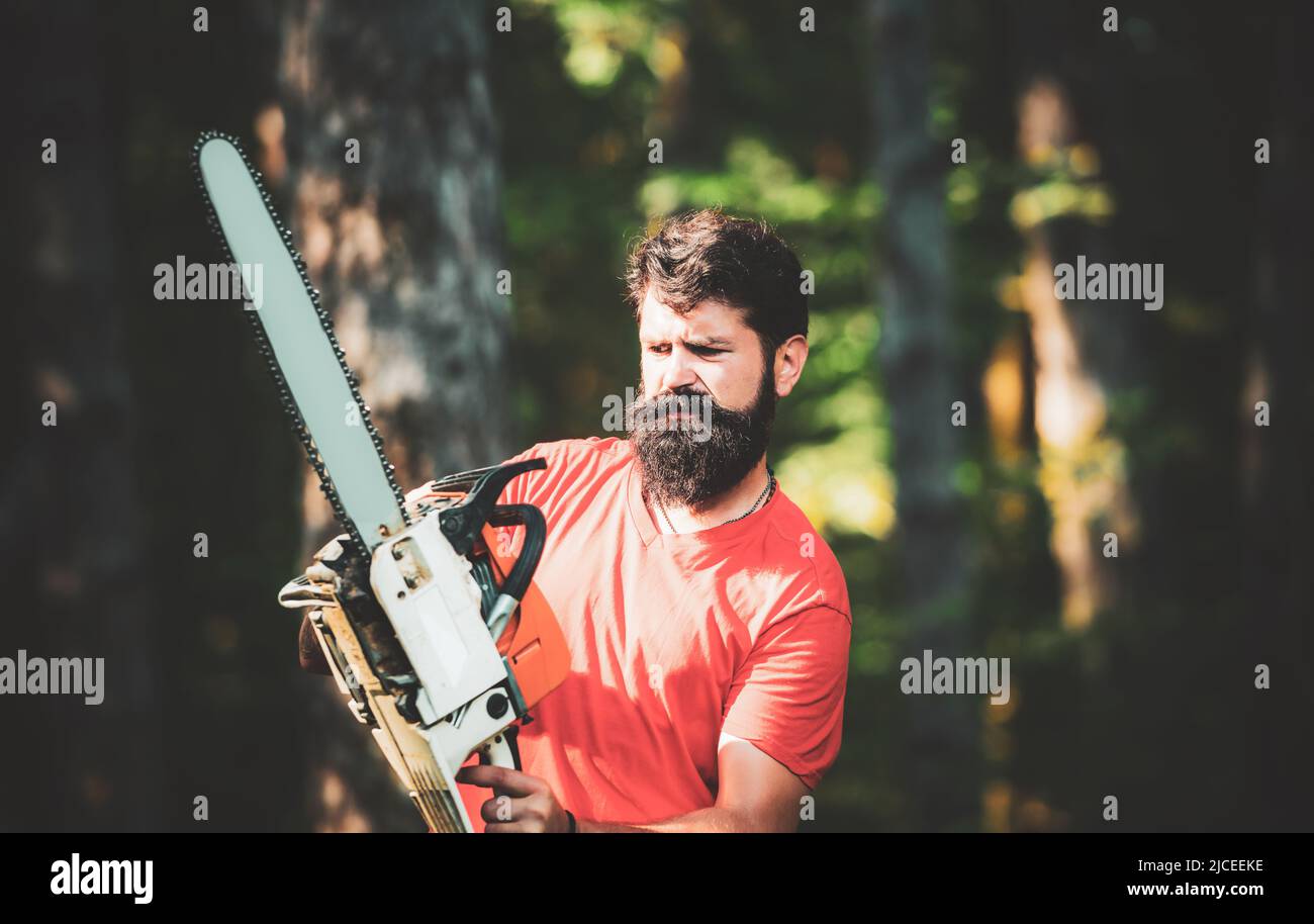 Illegal logging chainsaw hi-res stock photography and images - Alamy