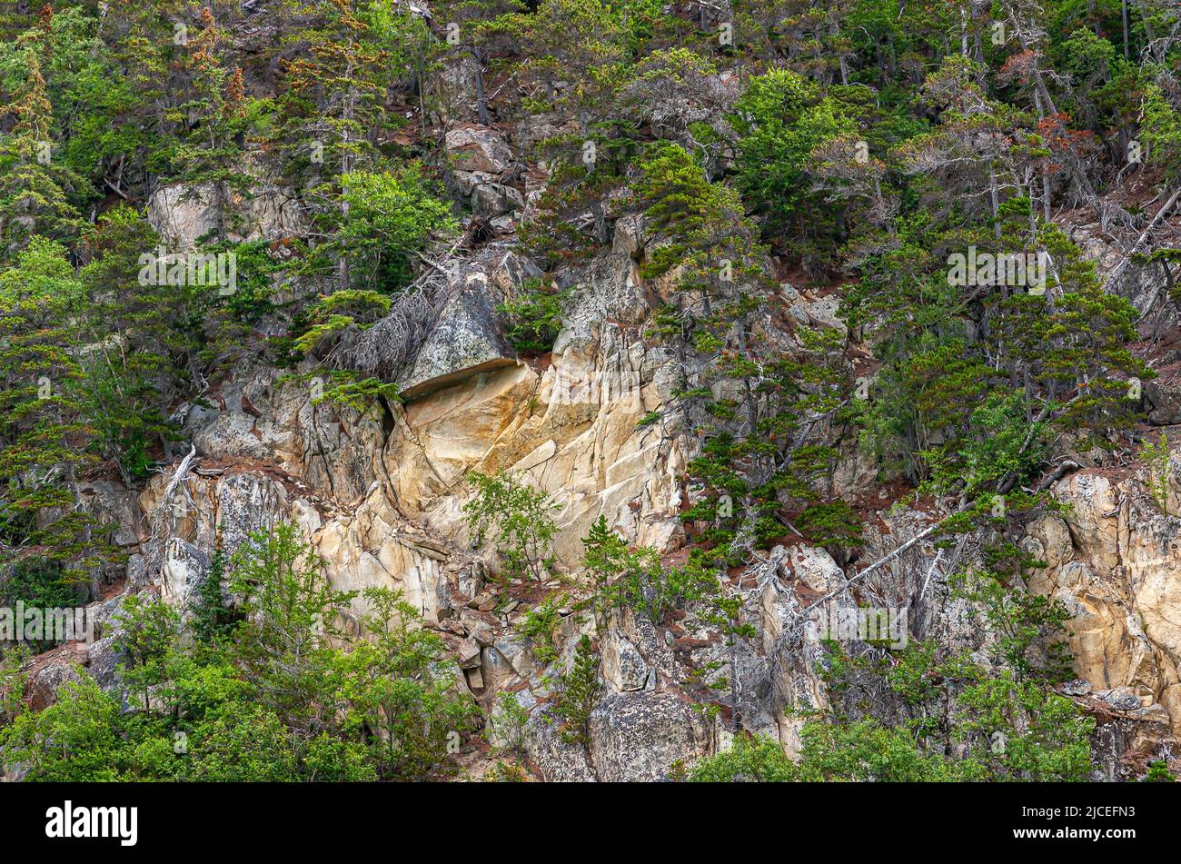 Skagway, Alaska, USA - July 20, 2011: Taiya Inlet above Chilkoot Inlet ...