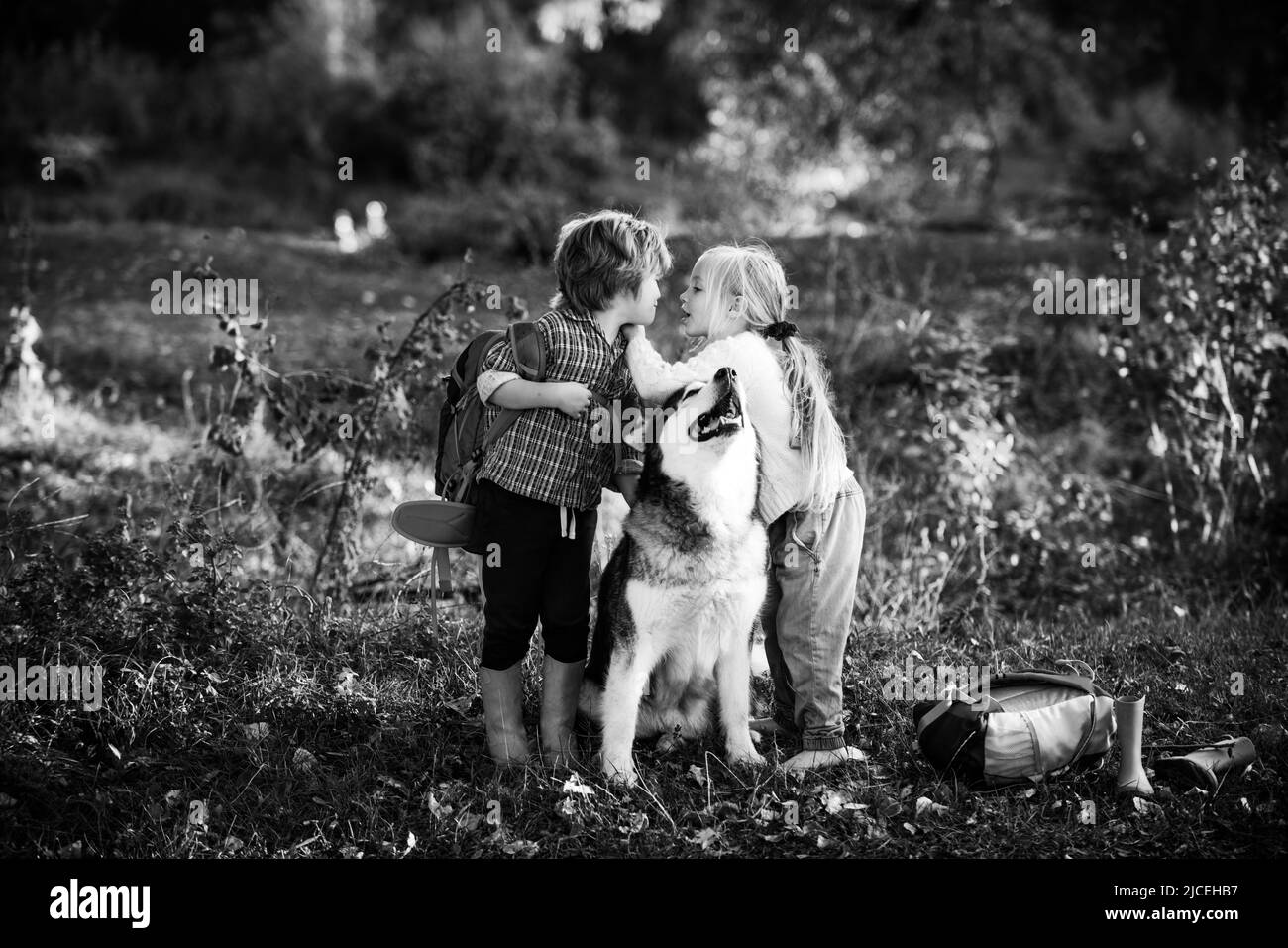 Romantic and love. Human emotions kids first love. Valentine day. Sweet ...