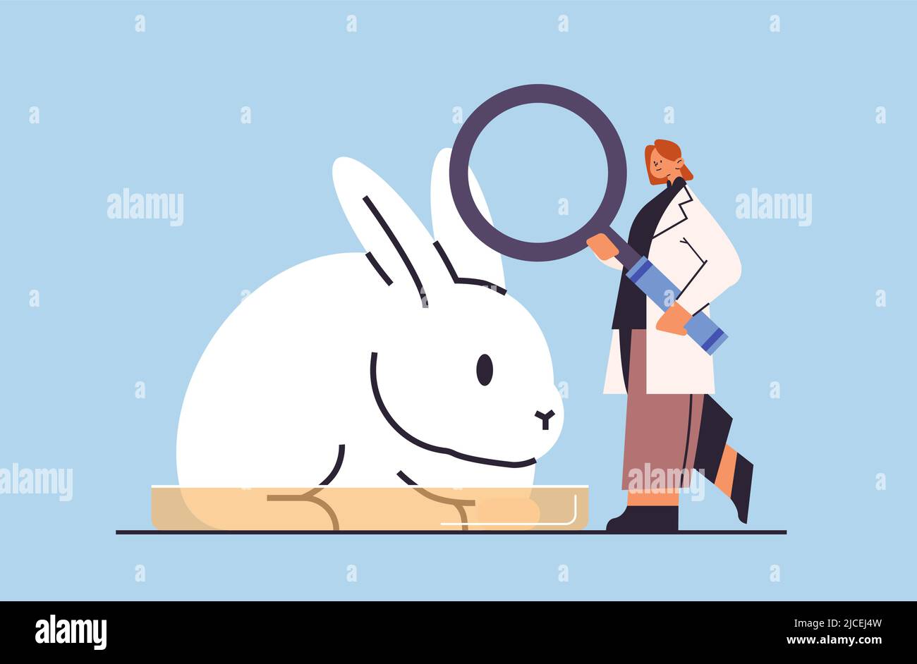 scientist doing experiments in lab with animal veterinary worker with ...