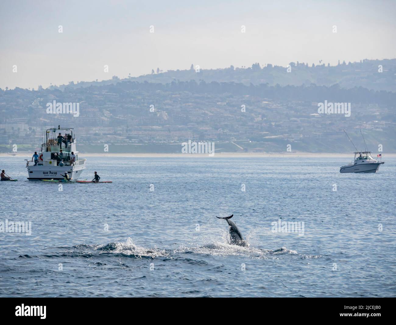 Large ships dolphin hi-res stock photography and images - Alamy