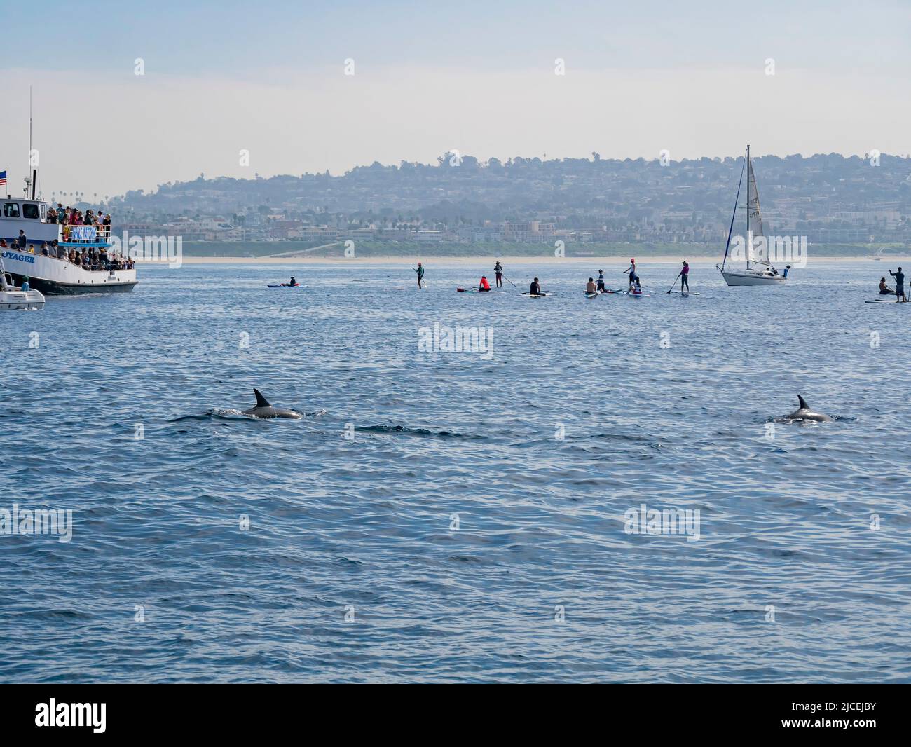 Large ships dolphin hi-res stock photography and images - Alamy