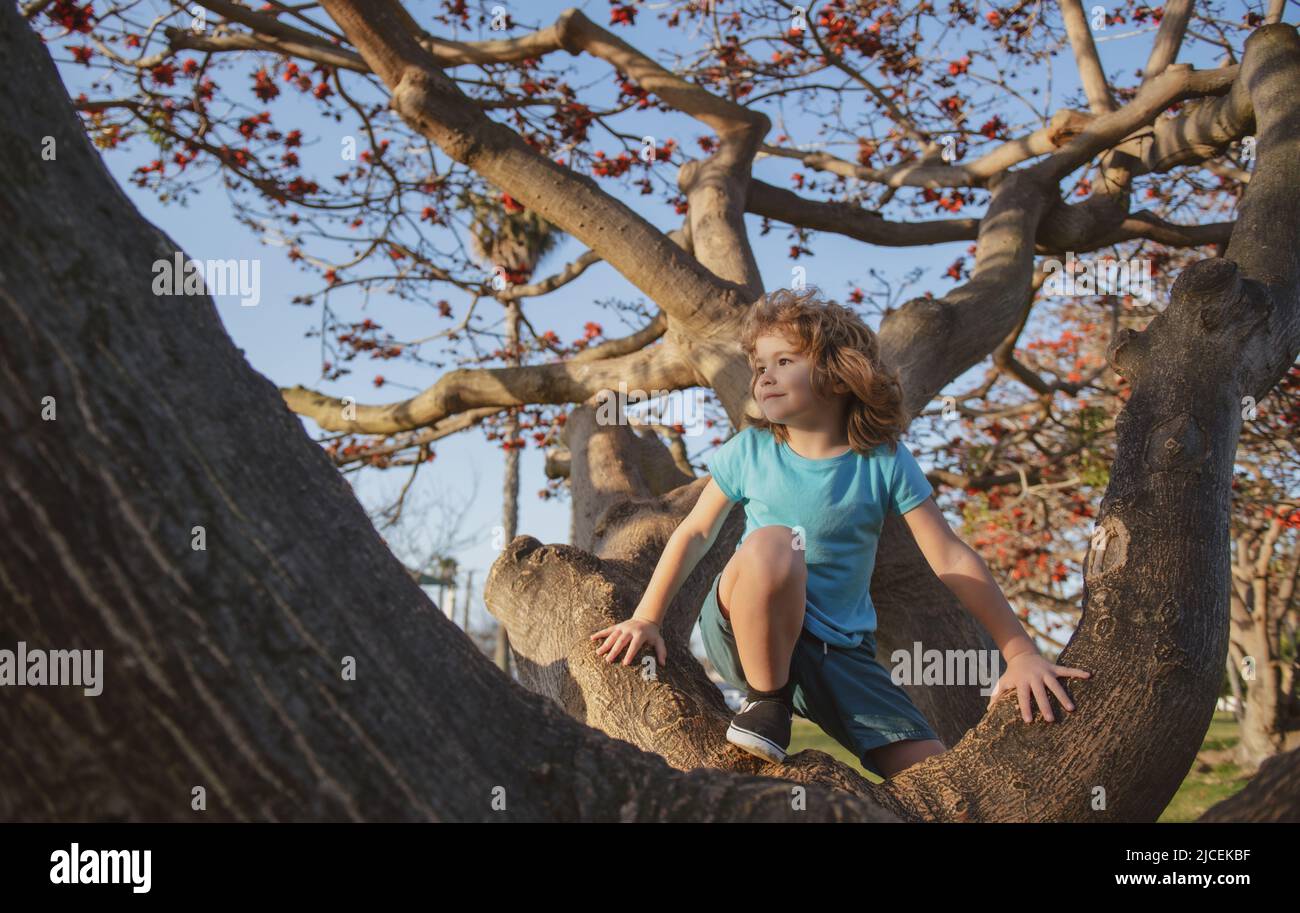 Little kid on a tree branch. Child climbs a tree Stock Photo - Alamy