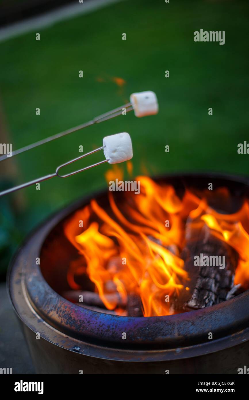 Fall camp marshmallow hi-res stock photography and images - Alamy