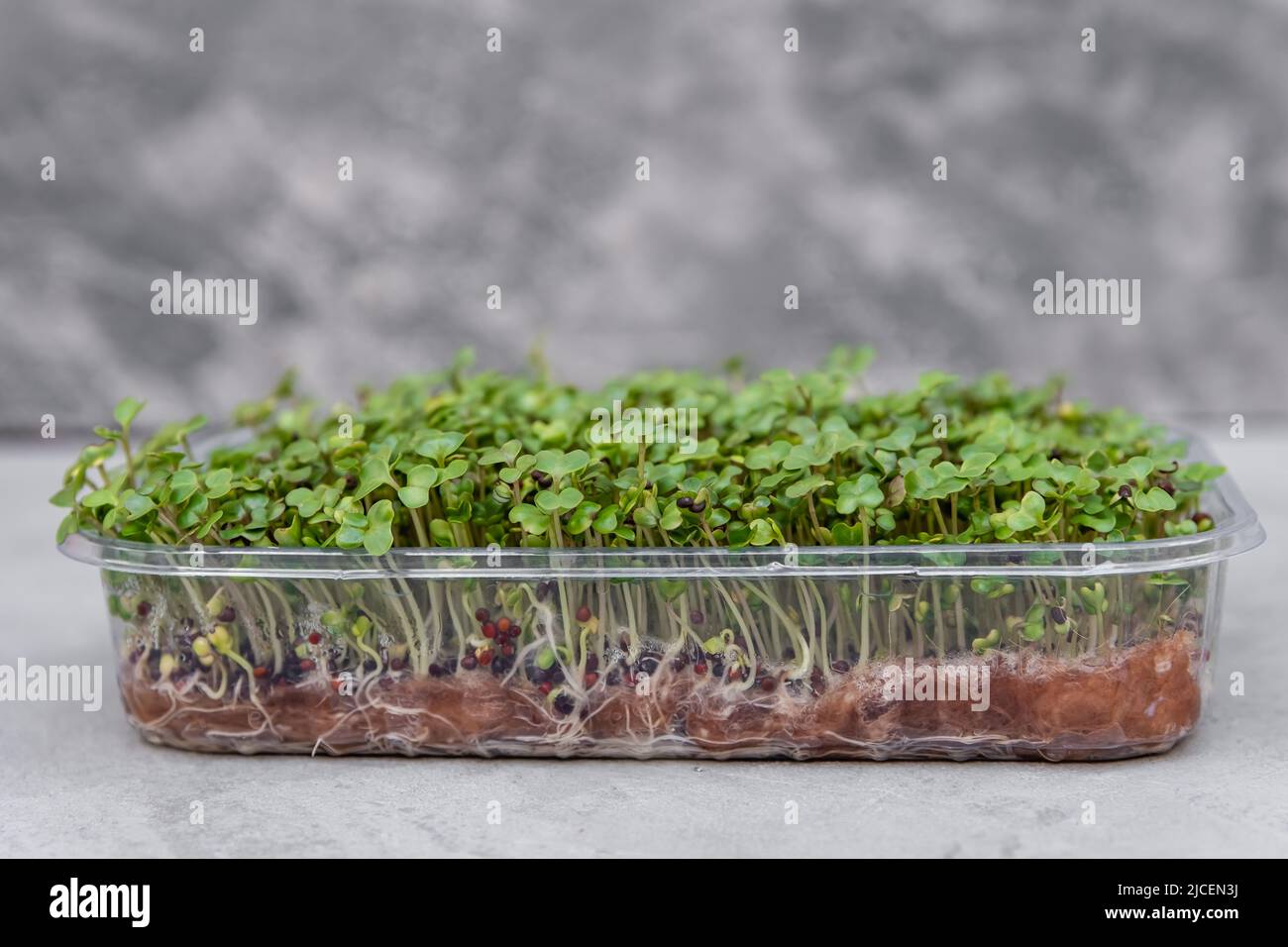 Realistic greens hi-res stock photography and images - Alamy