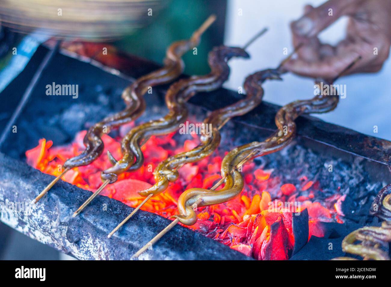 Grilled eels locally called puyoy at a street in Capiz, Philippines ...