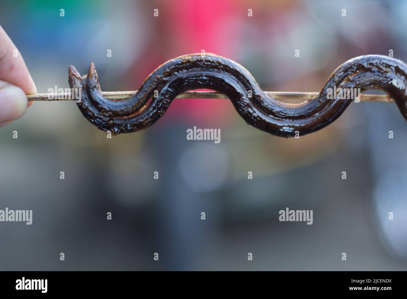 Grilled eels locally called puyoy at a street in Capiz, Philippines ...