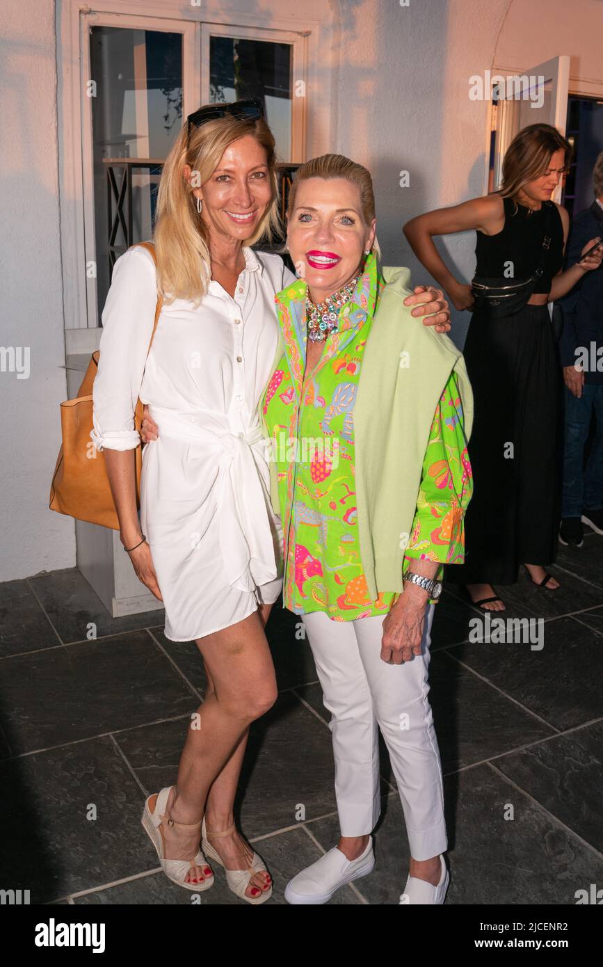 Rhonda Lovings and guest attends Dan's Papers Chefs of the Hamptons at ...