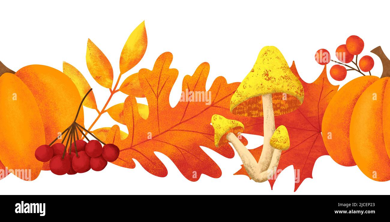 Hand drawn fall autumn seamless horizntal border with mushrooms forest ...