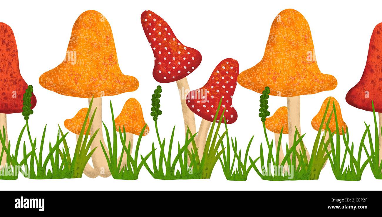 Hand drawn fall autumn seamless horizntal border with mushrooms forest ...