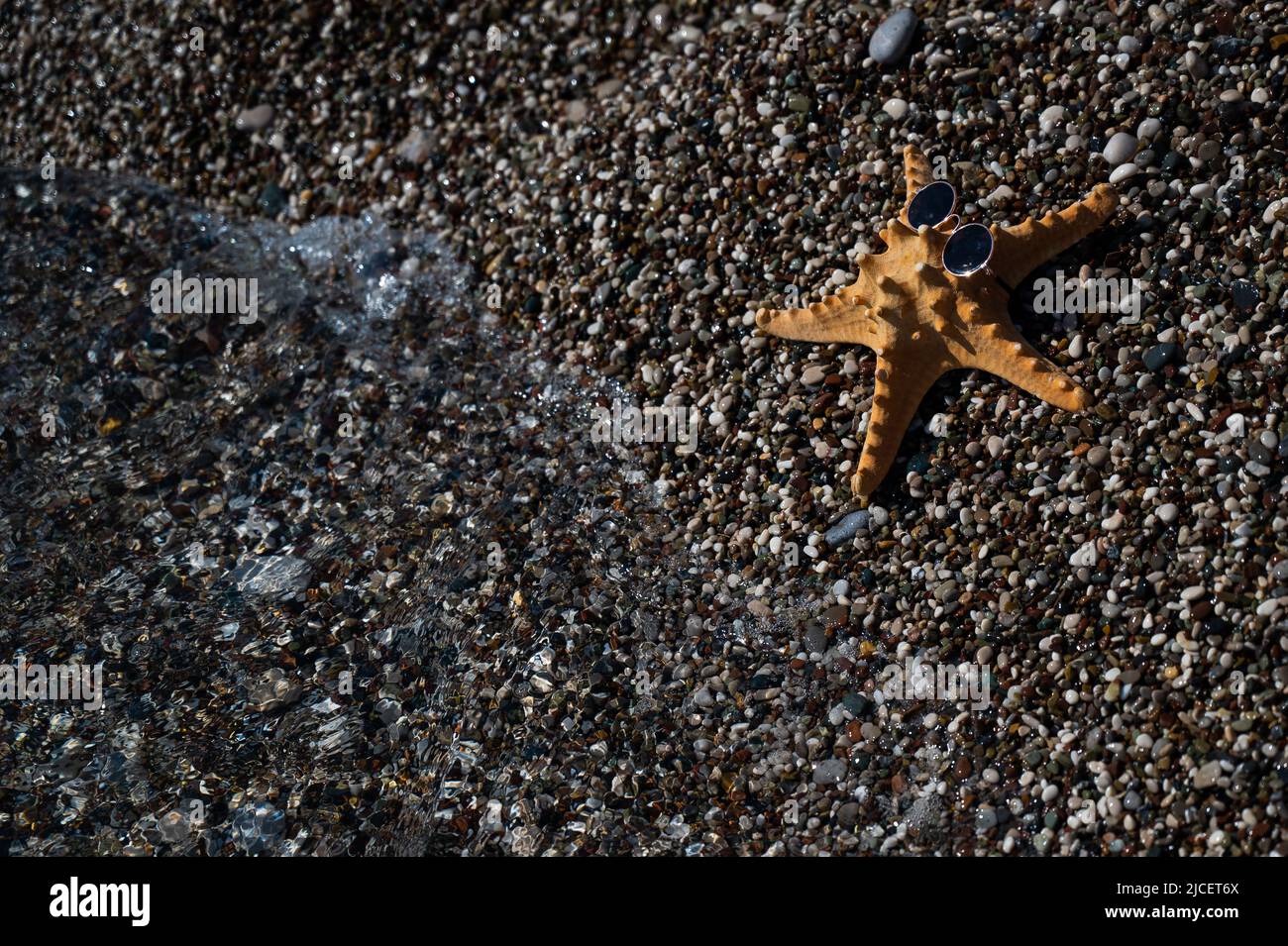Starfish in sunglasses on a pebble beach. Rest at the sea Stock Photo ...