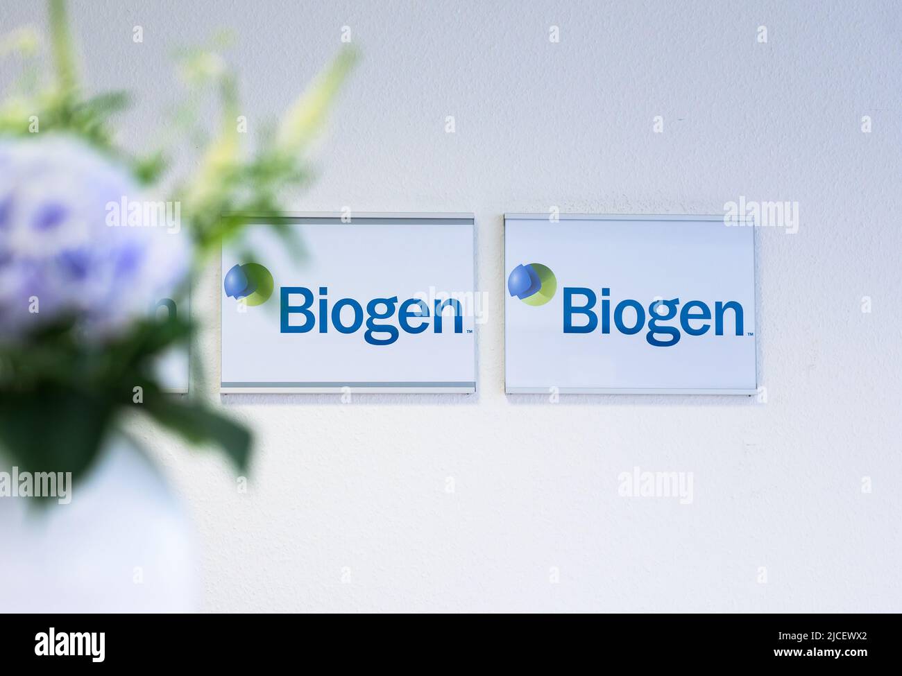 04 July 2019, Baden-Wuerttemberg, Frankfurt/Main: The logo of US ...