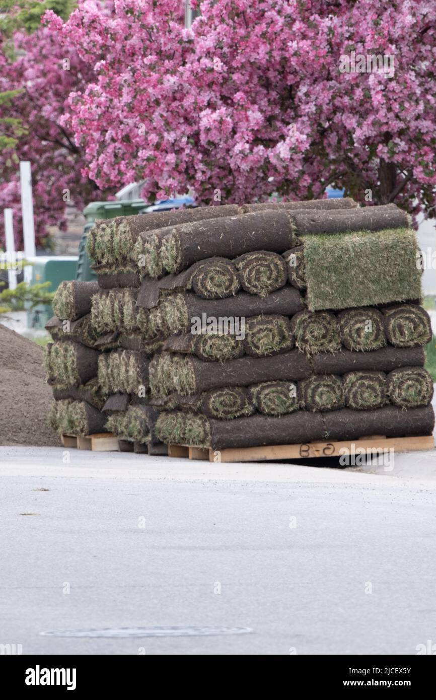 Rolled grass hi-res stock photography and images - Alamy
