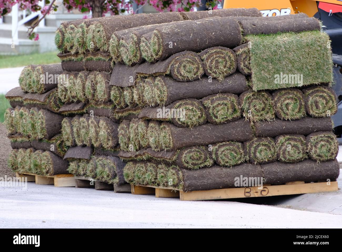 Rolled grass hi-res stock photography and images - Alamy