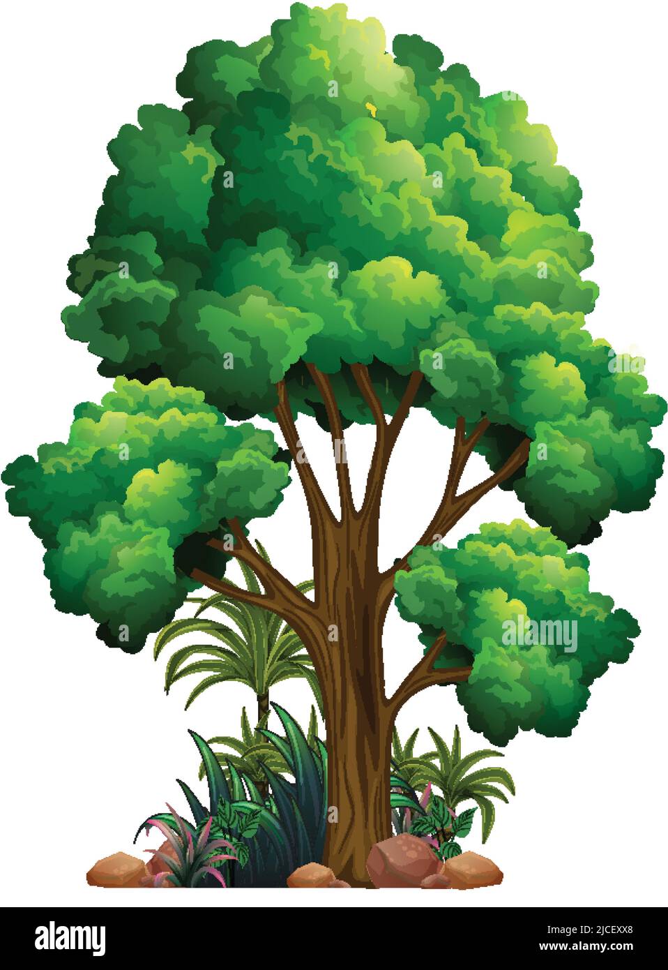 Big tree isolated cartoon illustration Stock Vector Image & Art - Alamy