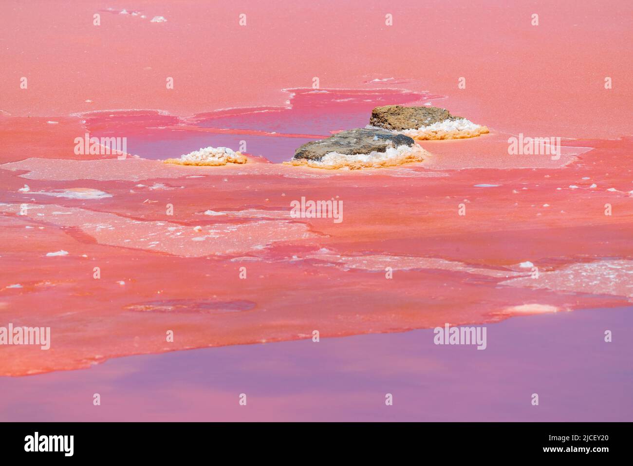 Purple salt pond hi-res stock photography and images - Alamy